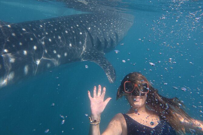 Cebu Tumalog, Inambakan Falls, Sardines and Whaleshark Watching - Inambakan Falls in Ginatilan