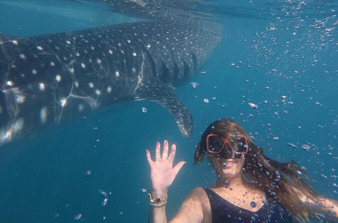 Cebu Tumalog, Inambakan Falls, Sardines and Whaleshark Watching - Frequently Asked Questions