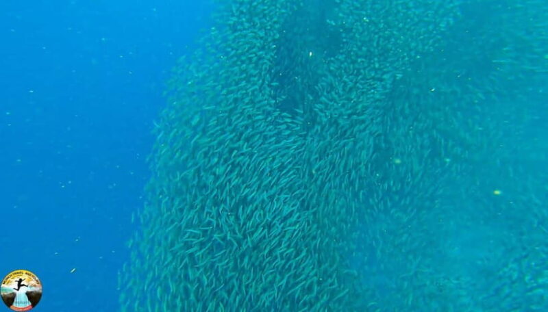 Cebu: Ultimate 3-Day Water Adventure - FAQs