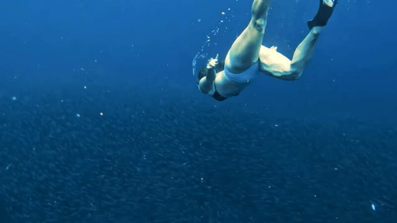 Cebu Ultimate Adventure: Oslob, Inambakan Falls & Moalboal - The The Sum Up: Who Is This Tour Best For?
