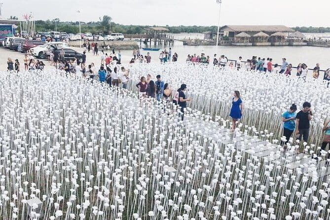 Cebu Vegetarian Cooking Class - FAQ