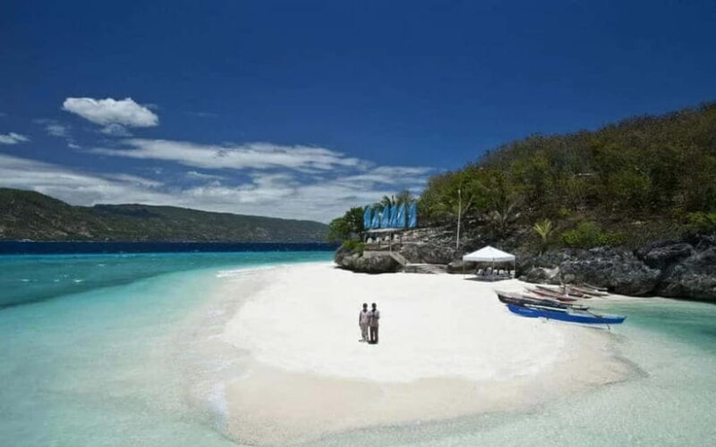 Cebu: Whale Shark, and Sumilon Sandbar and Inambakan Falls - A Practical Overview of the Tour