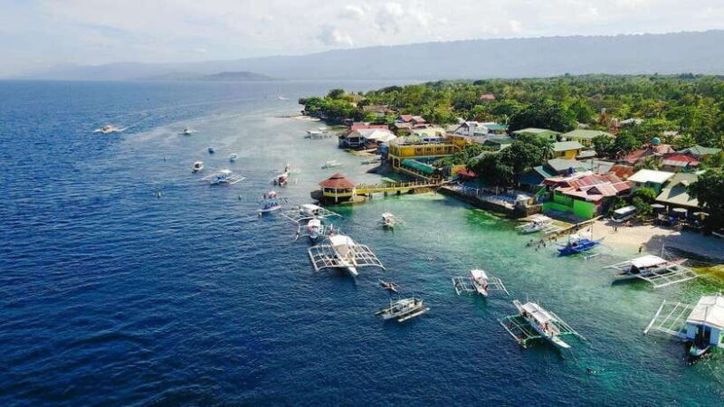 Cebu: Whale Shark, Monkey Sanctuary, & Moalboal Snorkel Tour - Exploring Cebu in a Day: A Practical & Thrilling Adventure