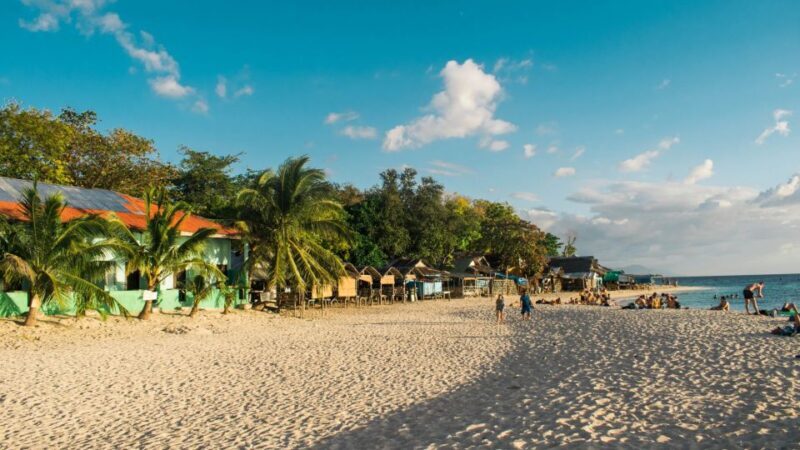 Cebu: Whale Shark, Monkey Sanctuary, & Moalboal Turtles Tour - The Sum Up