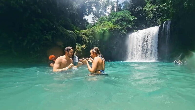 Cebu: Whale Shark Swim and Kawasan Canyoneering Tour - The Experience: What Travelers Really Think