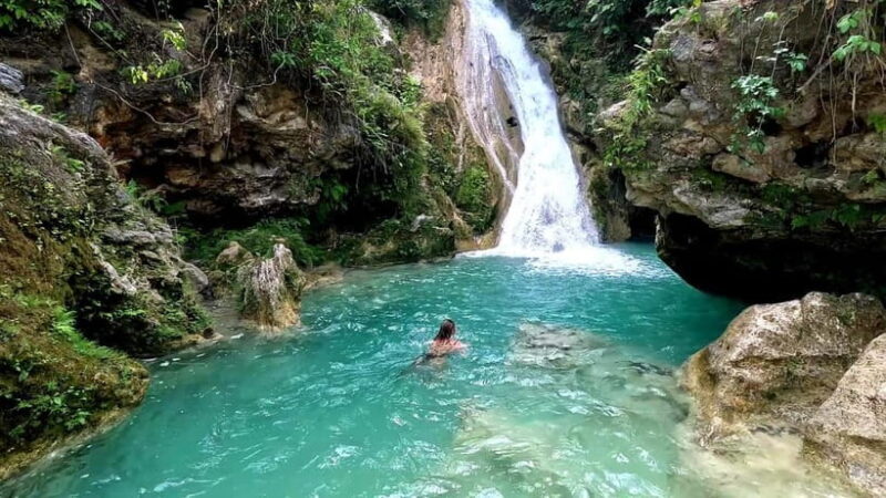 Cebu: Whale Shark Swimming & Inambakan Falls Adventure - Key Points