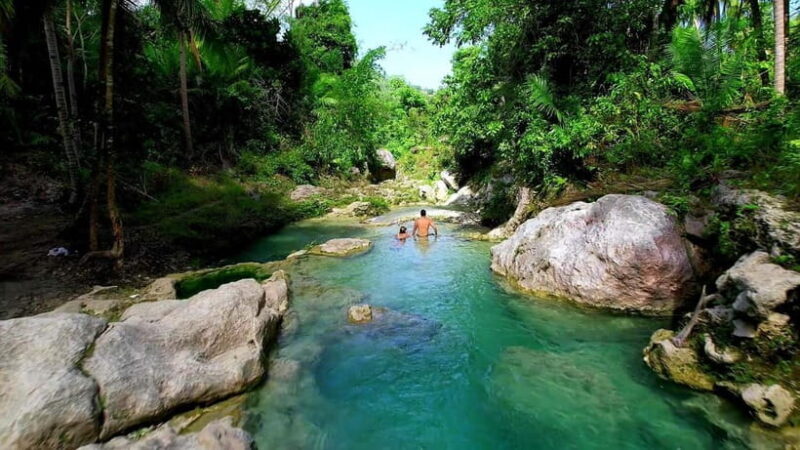 Cebu: Whale Shark Swimming & Inambakan Falls Adventure - Frequently Asked Questions