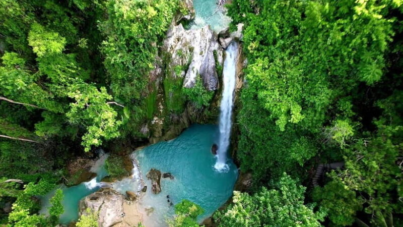 Cebu: Whale Shark Swimming & Inambakan Falls Adventure - Final Thoughts