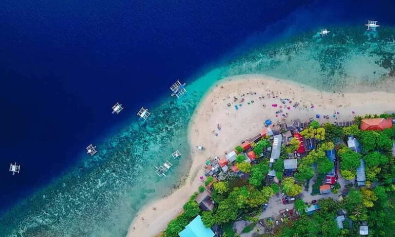 Cebu: Whale Shark, Tumalog, and Moalboal Tour - Introduction to the Cebu Whale Shark, Tumalog, and Moalboal Tour