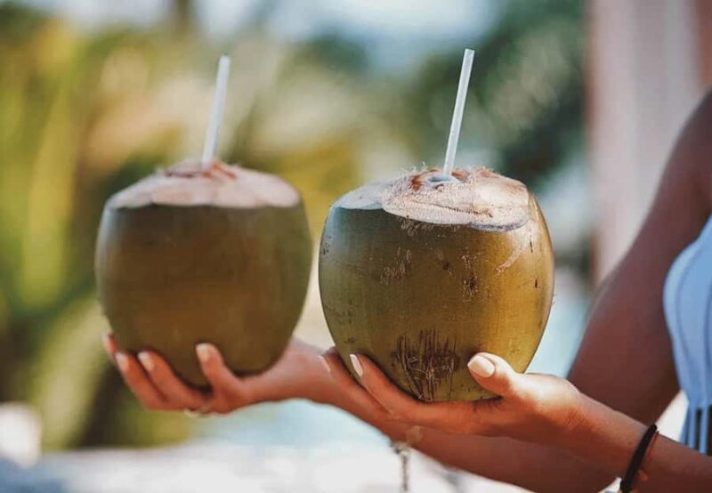 Cebu: Whale Shark, Tumalog Falls & Moalboal Turtles Tour - Final Thoughts