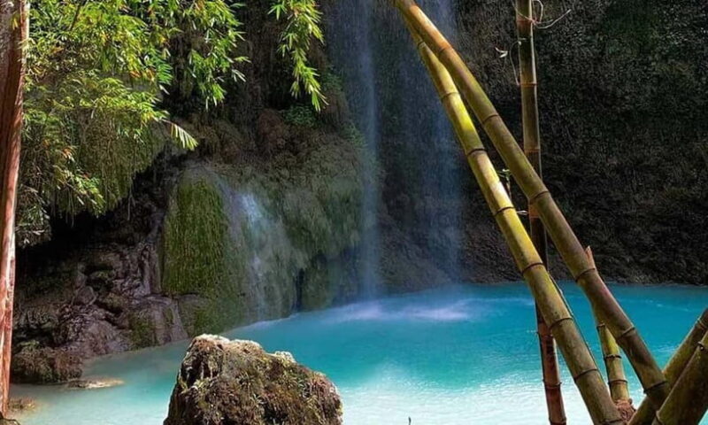 Cebu: Whale Shark, Tumalog, Sumilon, and Moalboal Tour - An In-Depth Look at the Tour Experience