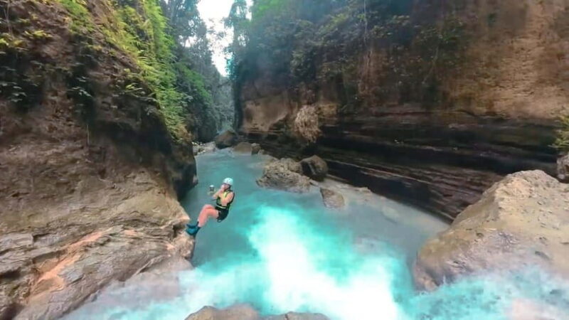 Cebu: Whale Shark Watching and Canyoneering Group Tour - Transportation, Cost, and Overall Value