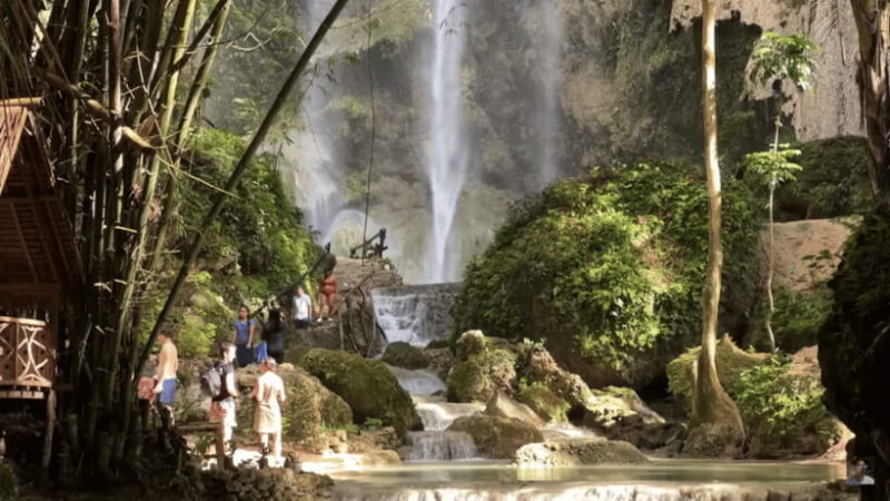 Cebu: Whale Shark Watching, Tumalog Falls & Sumilon Island - FAQ