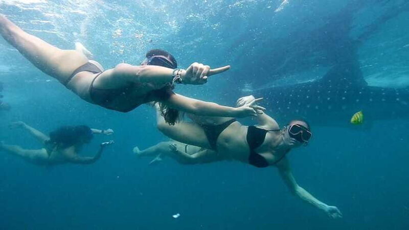 Cebu: Whale Sharks, Ka-Treasure Water Terraces & Simala Tour - Final Thoughts