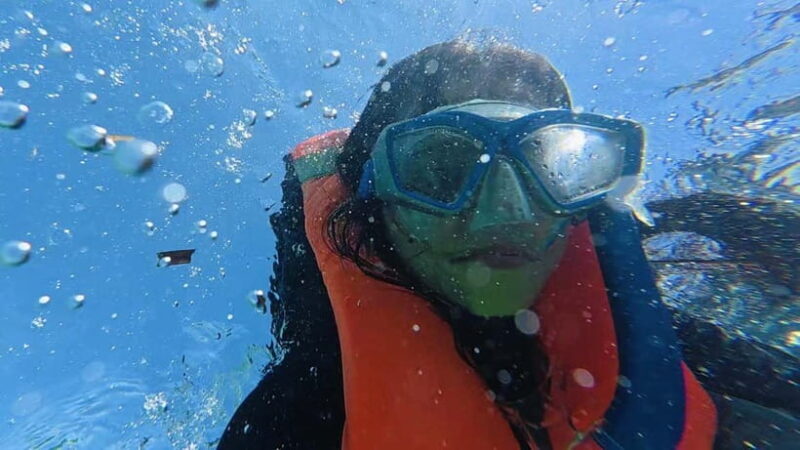 Cebu: Whale Sharks, Kawasan Falls, & Sardines Run Snorkeling - A Deeper Look at the Tour Experience