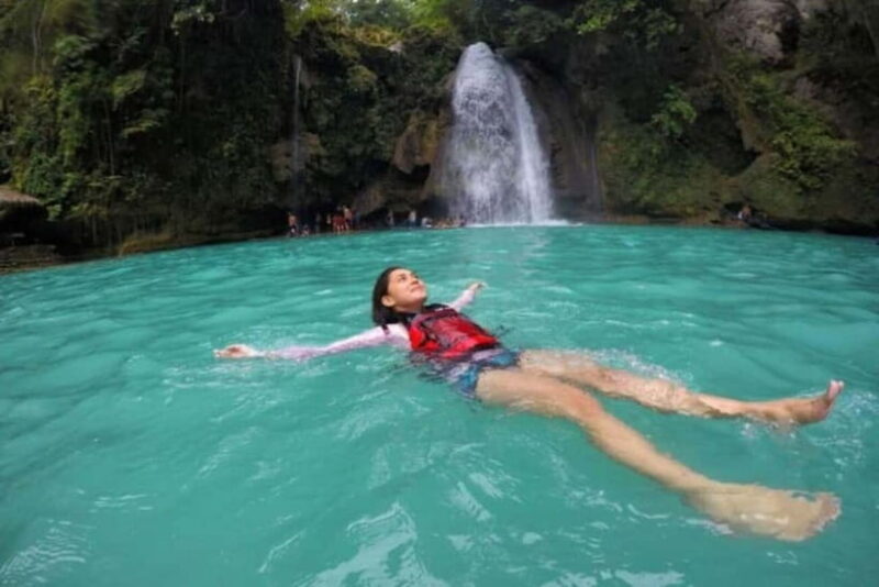 Cebu: Whale Sharks, Kawasan Falls, & Sardines Run Snorkeling - Key Points