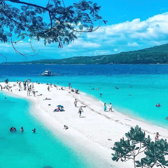 Cebu Whale Sharks Tumalog Falls Sumilon - An In-Depth Look at the Tour Experience