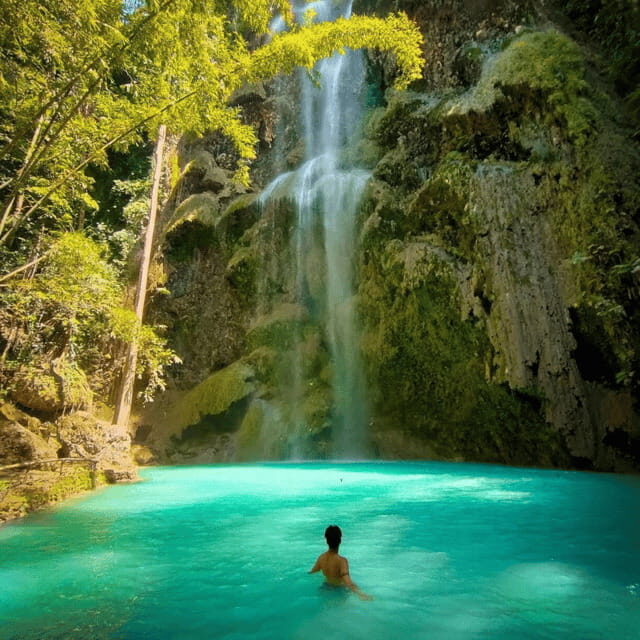 Cebu Whale Sharks Tumalog Falls Sumilon - The Sum Up