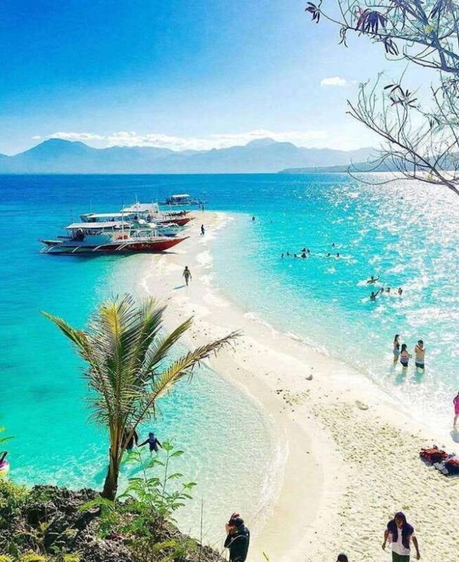 Cebu: Whaleshark Encounter, Tumalog Falls & Sumilon Sandbar - Who Will Love This Tour?