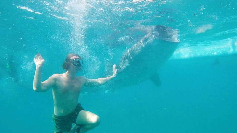 Cebu: Whaleshark Swimming & Kawasan falls Canyoneering Tour - Authentic Reviews and Experiences