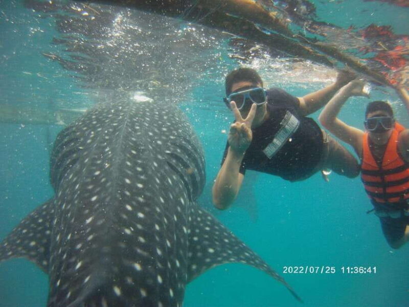 Cebu: WhaleShark , Tumalog Falls, & Sardine Run Snorkeling - Tumalog Falls: A Refreshing Break