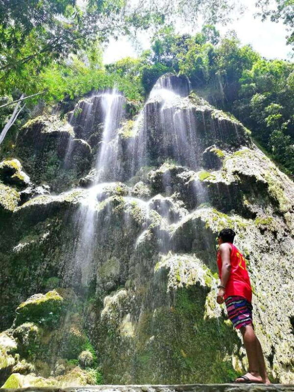 Cebu: WhaleShark , Tumalog Falls, & Sardine Run Snorkeling - Who Will Love This Tour?