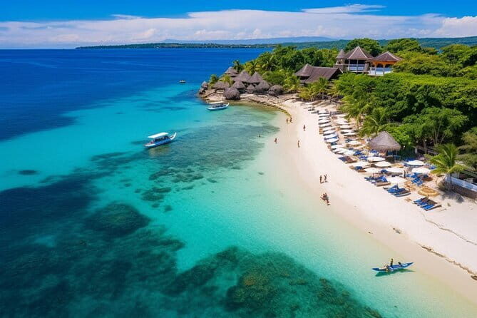 Cebu Whaleshark Watching w/ Sumilon Island Hopping - Discovering Cebu’s Whale Shark & Sumilon Island Tour: A Complete Guide