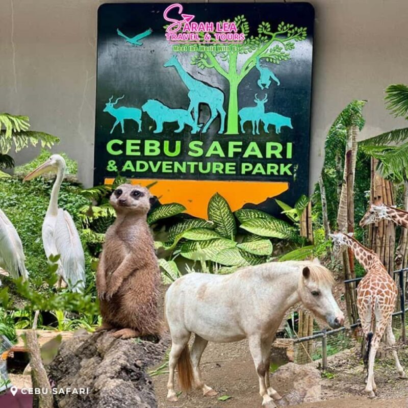 Cebu: Wildlife & Adventure Safari Experience - A Closer Look at the Itinerary