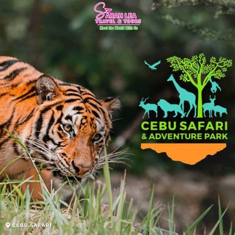 Cebu: Wildlife & Adventure Safari Experience - Frequently Asked Questions