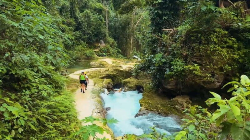 Cebu:Oslob Whale Shark Swimming & Kawasan Falls Canyoneering - Final Thoughts