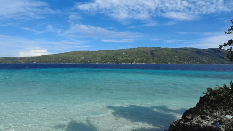 Cebu:Oslob Whales,Sumilon Island & Inambakan Falls Adventure - Introduction