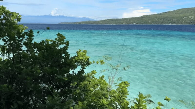 Cebu:Oslob Whales,Sumilon Island & Inambakan Falls Adventure - Practical Tips for Travelers