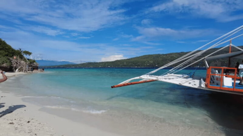Cebu:Oslob Whales,Sumilon Island & Inambakan Falls Adventure - The Sum Up