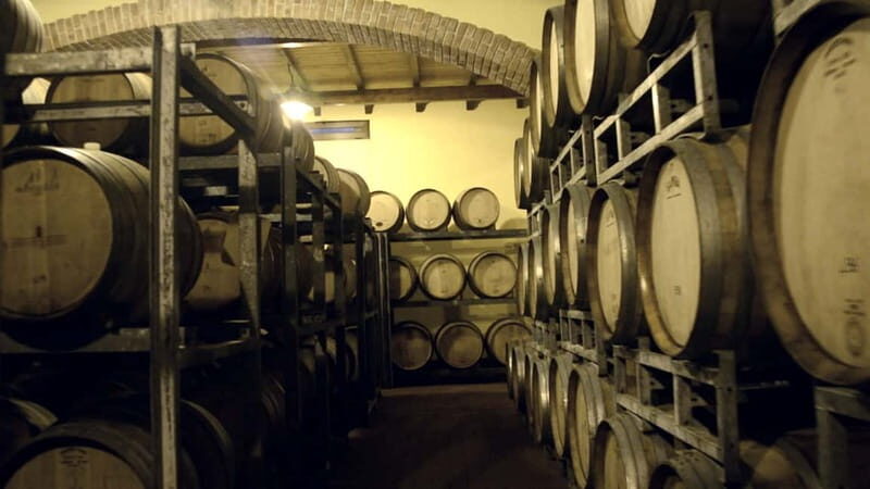 Cefalù: Half-Day Wine Tasting Tour in Castelbuono - Key Points