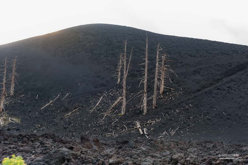 Cefalù: Mount Etna to 1900-Meters and Taormina Tour - FAQ