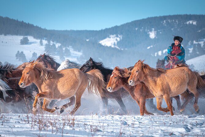 Celebrate Mongolias New Year the Nomadic Way - Key Points