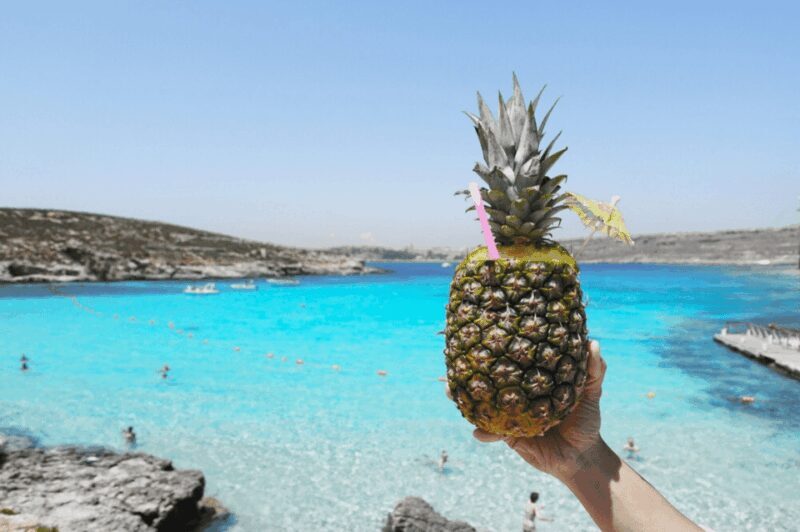 Celebration Sail - Lovers Cave, Comino, Gozo & Blue Lagoon - The Experience: What Makes It Special