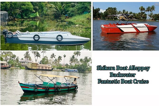 Celebrity Constellation Houseboat Day cruise at Backwaters - Who Will Love This Experience?