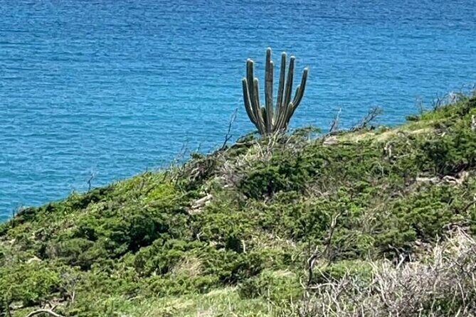 Celebrity Island Adventure Tours - Is this Tour Worth It?