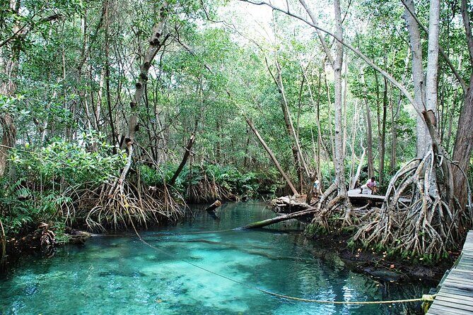 Celestun Beach and Mangrove Boat Ride from Merida - Who Will Love This Tour?