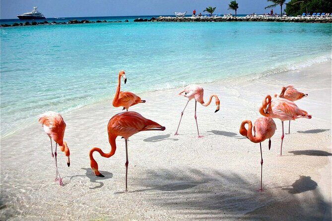 Celestun Beach and Mangrove Boat Ride from Merida - The Sum Up