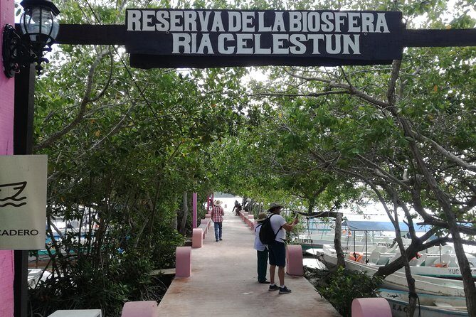 Celestun Biosphere Reserve Tour from Merida - The Experience Through Travelers’ Eyes