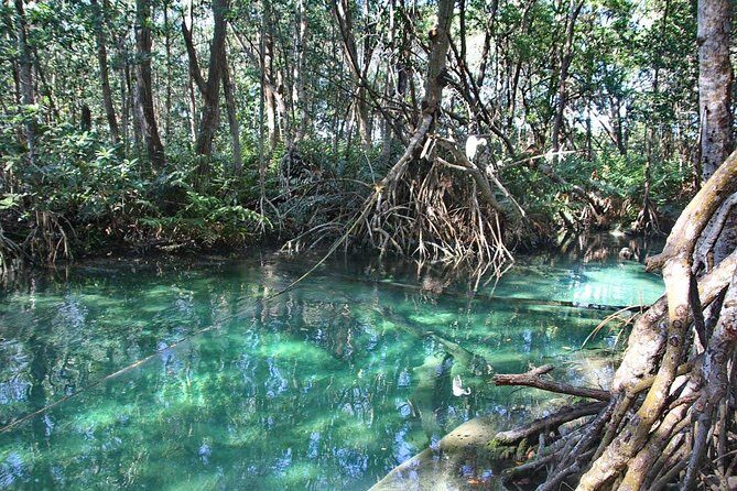 Celestun Biosphere Reserve Tour from Merida - Is This Tour Right for You?