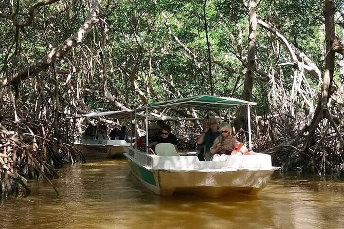 Celestun, Flamenco Adventure, from Merida - A Detailed Look at the Celestun Flamenco Adventure