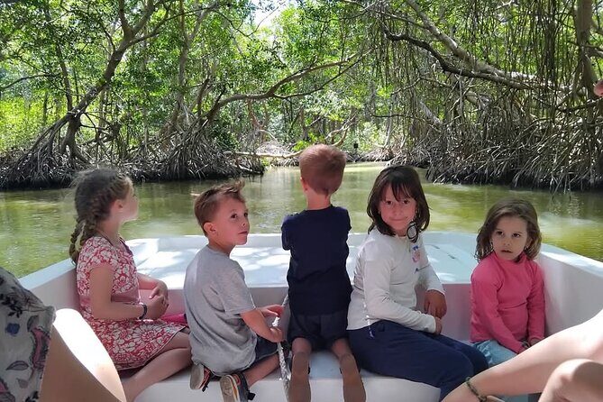 Celestun, Flamenco Adventure, from Merida - The Sum Up: Who Will Love This Tour?