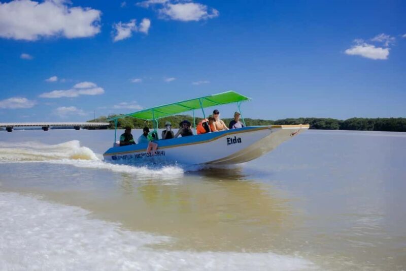 Celestún Flamingos, Beach, and Seafood Tour, leaving from Merida - Key Points