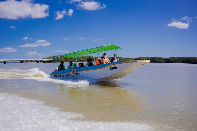 Celestun Flamingos Beach & Seafood Tour departure from Merida - Key Points