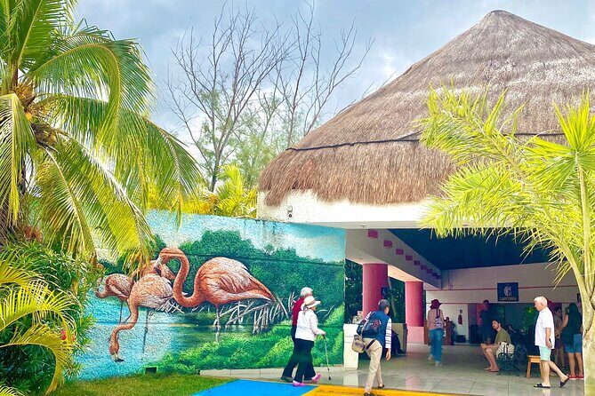 Celestun Flamingos Beach & Seafood Tour departure from Merida - An In-Depth Look at the Celestun Flamingos Tour