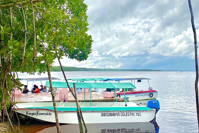 Celestun Flamingos Beach & Seafood Tour departure from Merida - Frequently Asked Questions (FAQs)