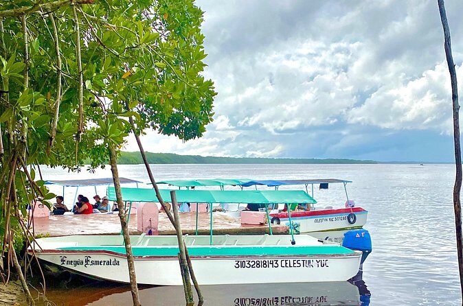 Celestun Flamingos Beach & Seafood Tour departure from Merida - Final Thoughts: Who Is This Tour Perfect For?